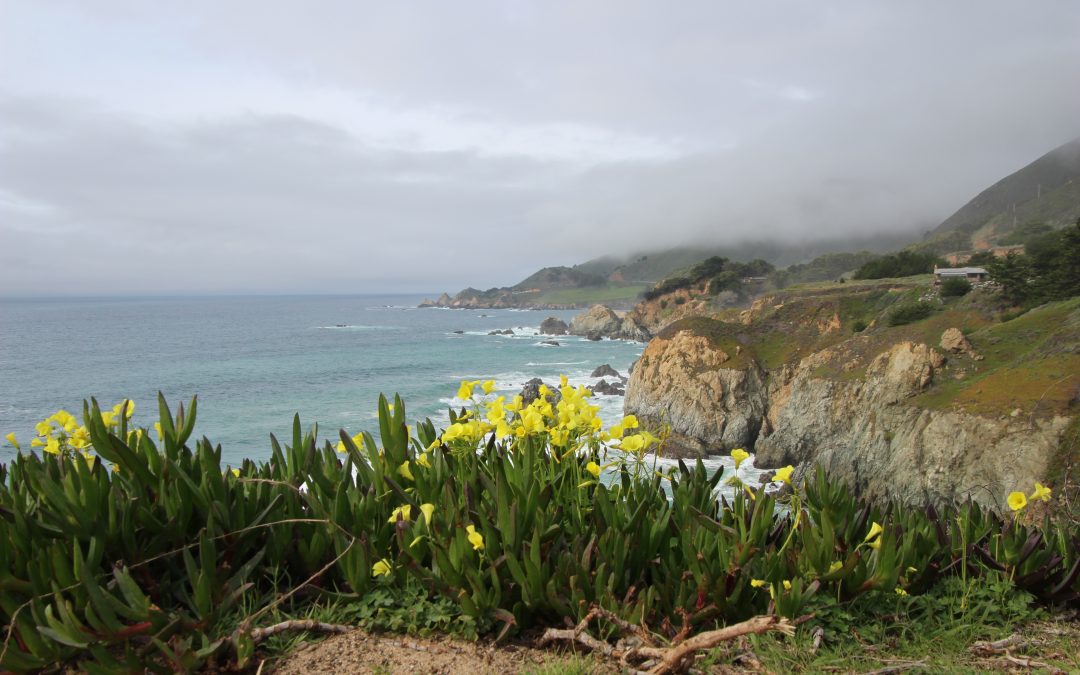 7 Reasons to Visit Monterey County, California - Ohio Girl Travels