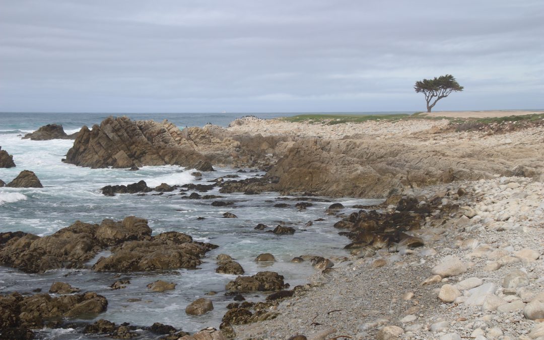 The Stunning 17-Mile Drive at Pebble Beach - Ohio Girl Travels